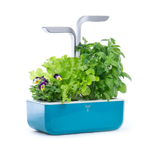 Potager D'intérieur Intelligent Smart Teal Blue - VEVPOT-STBAS-A-3 ...