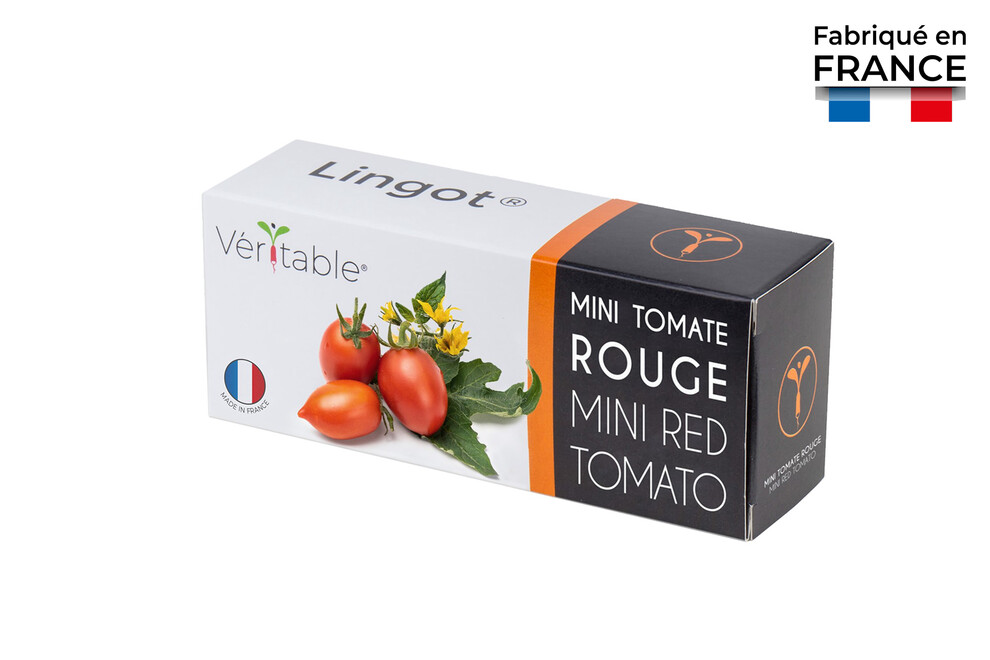 Lingot pour Potagers Véritable Mini Tomate Rouge - VEVLIN-L5-Tom016 ...